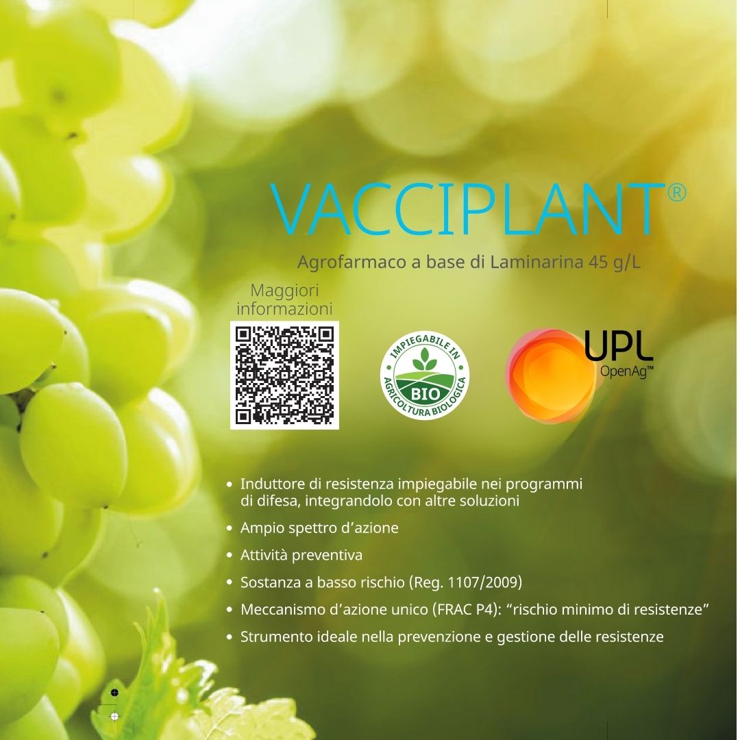 VACCIPLANT: induttore di resistenza a base di laminarina